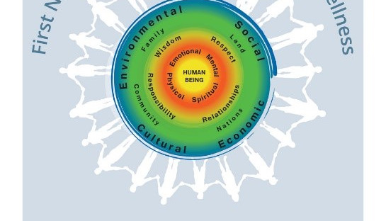 Indigenous knowledge and Intersectionality: “Incremental radicalism ...